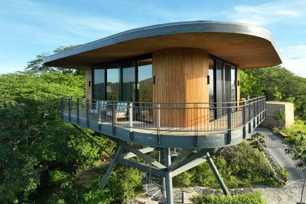 Treetop Suite with Pool view | Suitree Experience Hotel